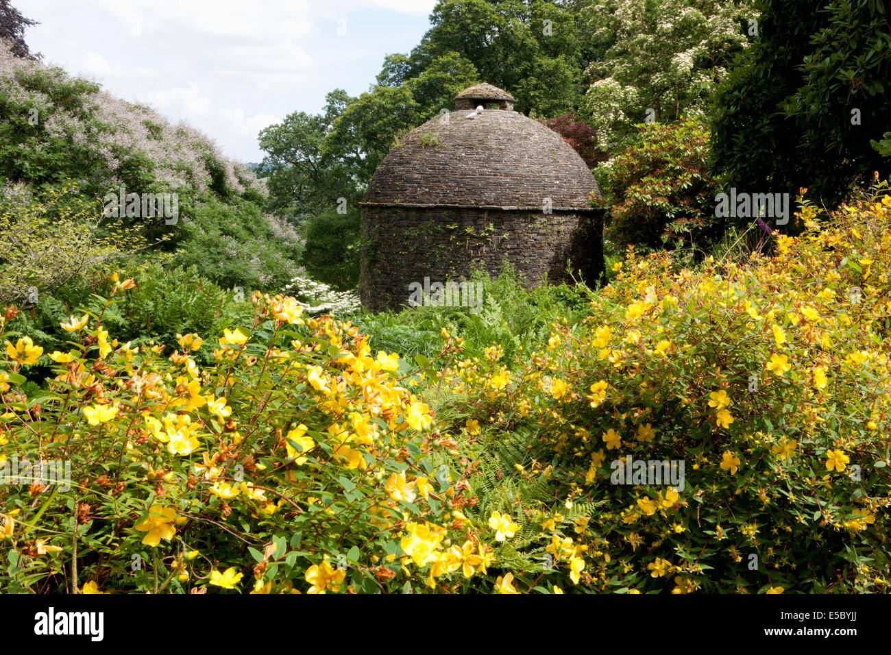 Cotehele nt hi-res stock photography and images - Alamy