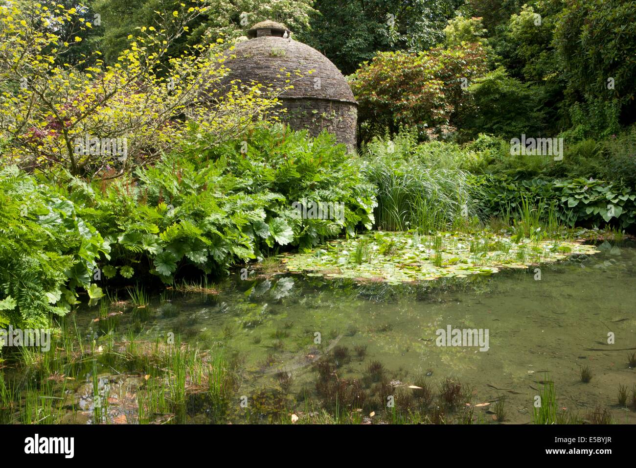 Cotehele nt hi-res stock photography and images - Alamy