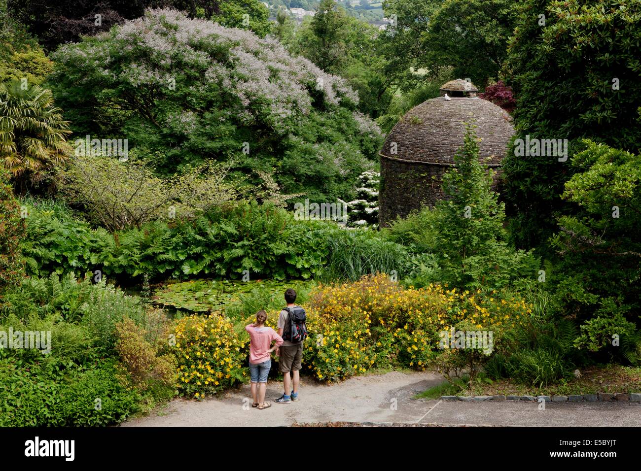 Cotehele nt hi-res stock photography and images - Alamy