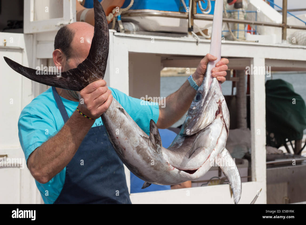 catch swordfish big Mediterranean fish "sea port" fisherman holding man ...