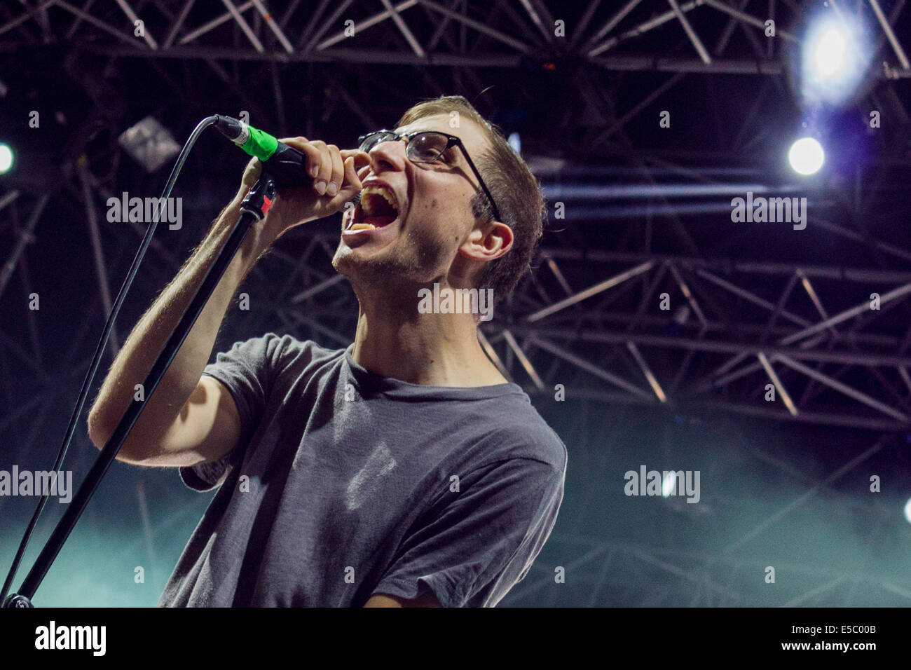 Turin, Italy. 26th July, 2014. I Cani, the musical project of roman ...