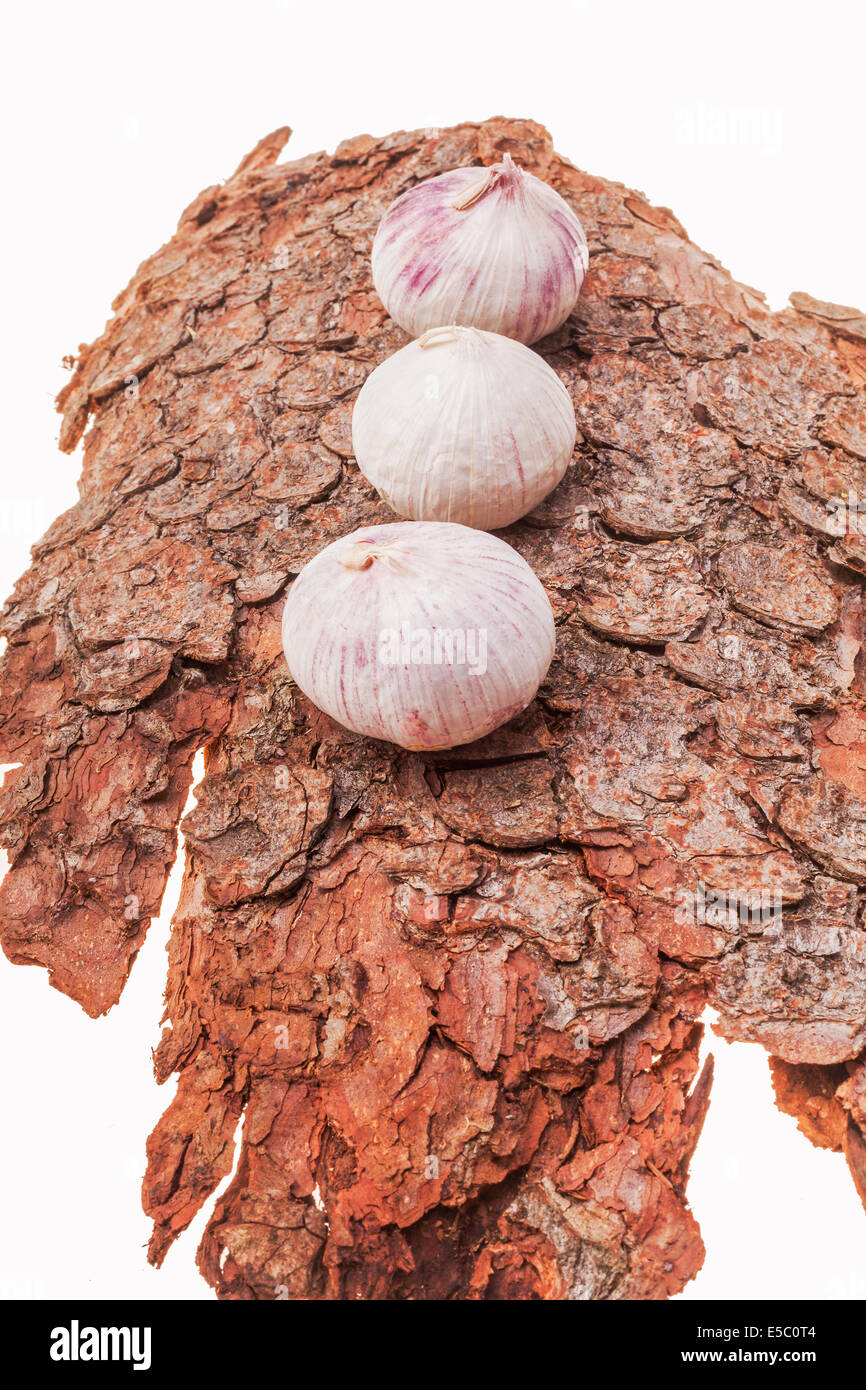 French Garlic Bulb Stock Photo - Alamy