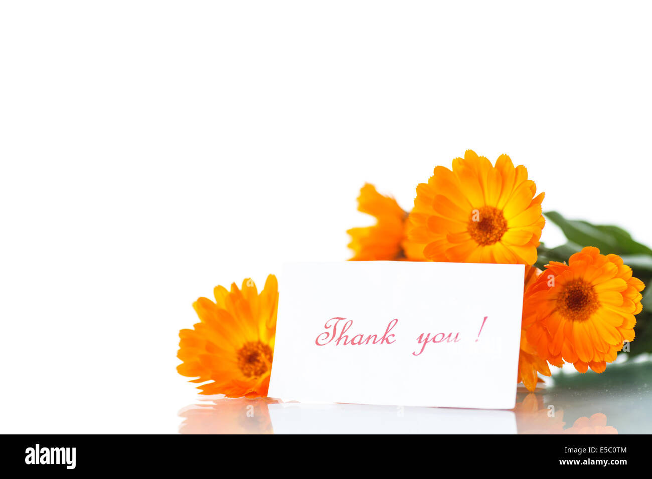 bouquet of orange calendula blossoms on white background Stock Photo ...