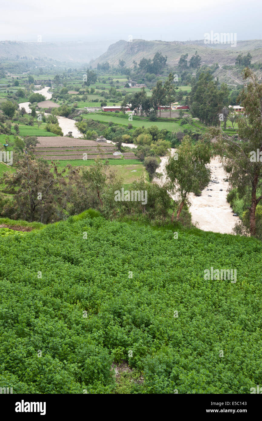 Terracing farming peru hi-res stock photography and images - Alamy