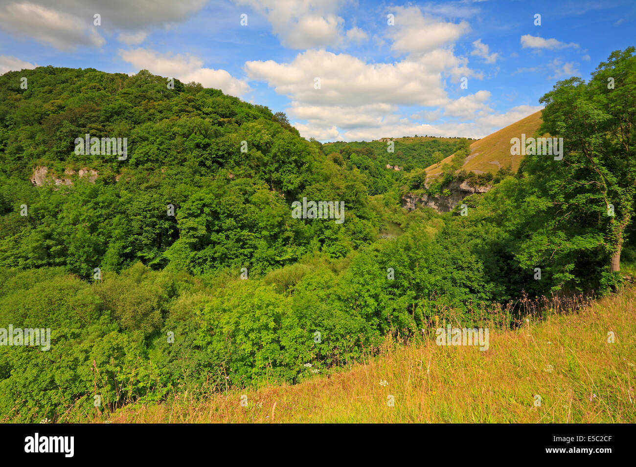 Miller's Dale from the Monsal Trail, Derbyshire, Peak District National ...