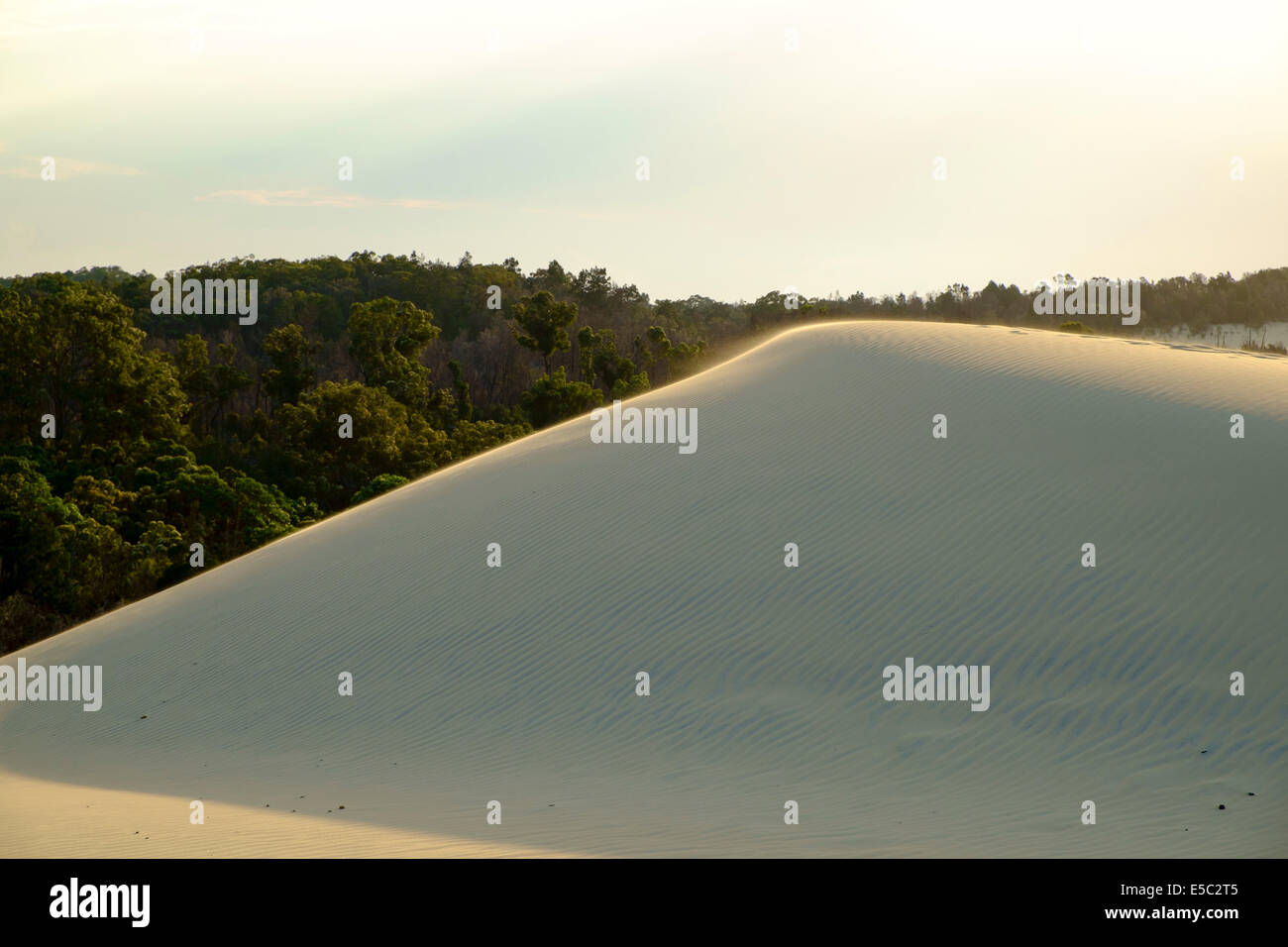 Moreton island sand dune hi-res stock photography and images - Alamy