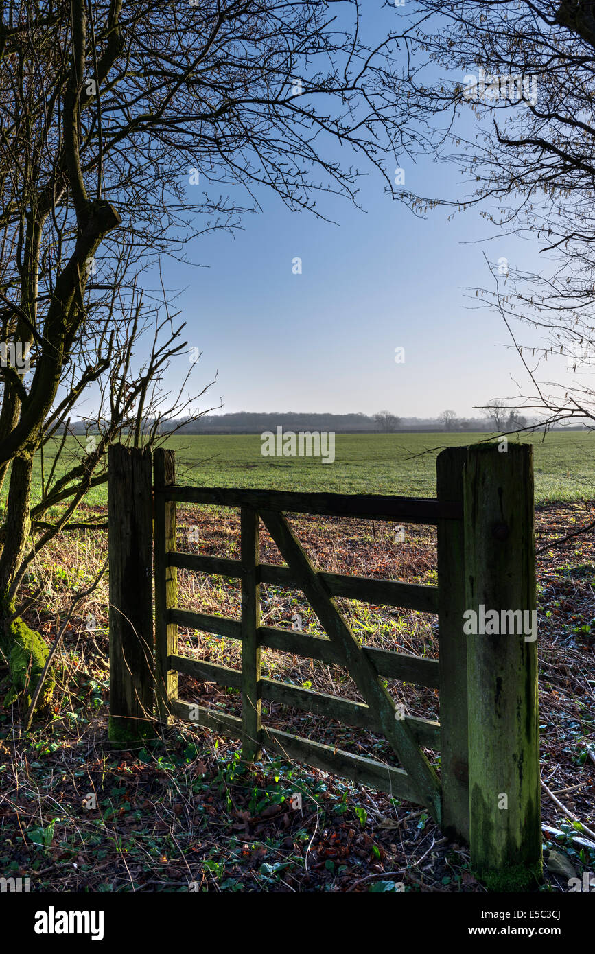 Gate hedge hi-res stock photography and images - Alamy