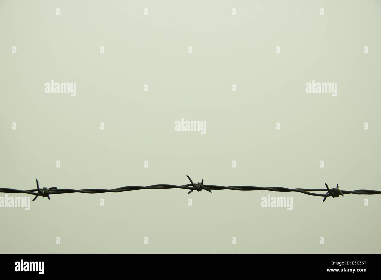 Rustic barbed wire with 4 points and 3 segments Stock Photo - Alamy