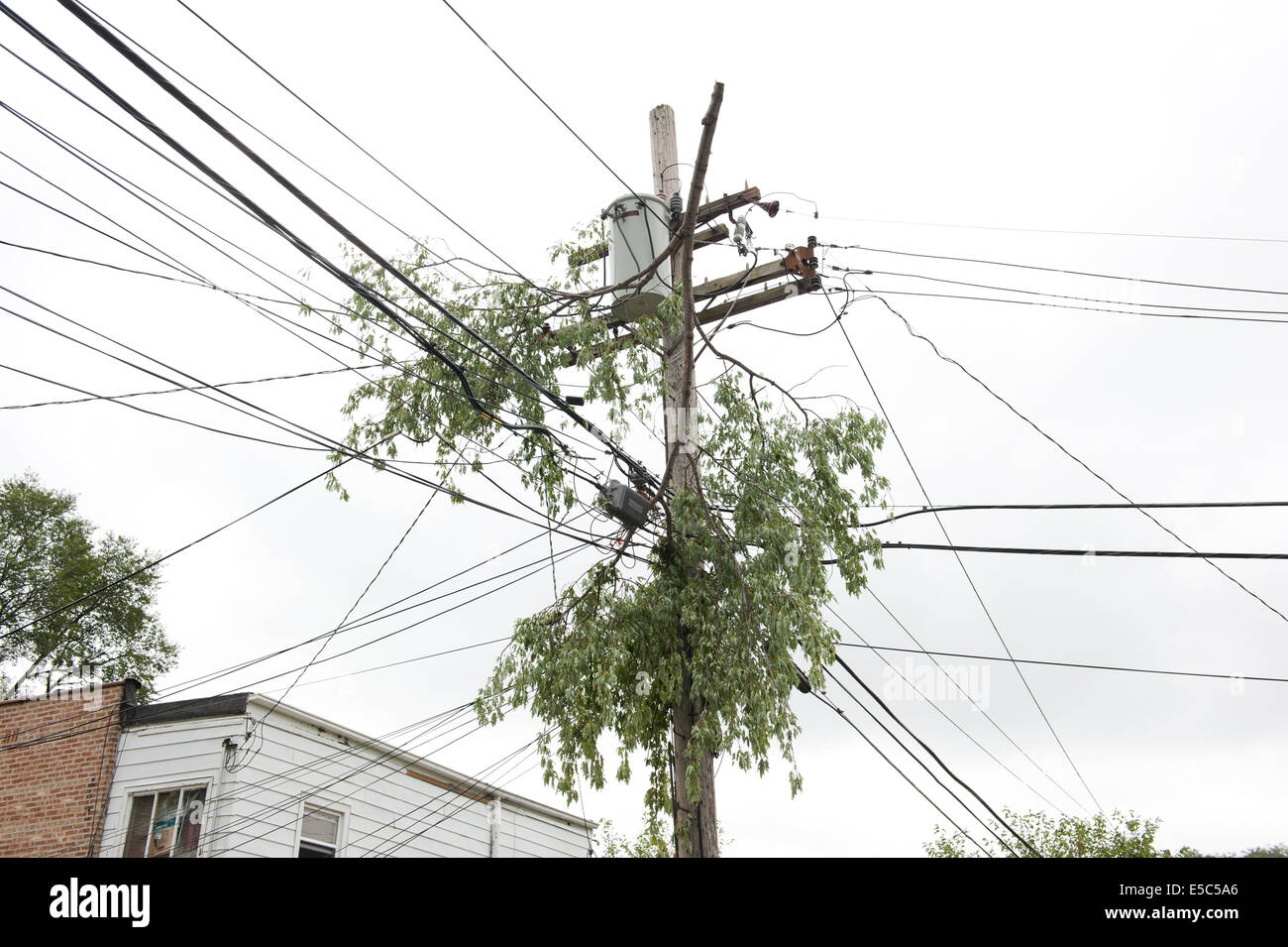 Electrical storm trees tree hi-res stock photography and images - Alamy