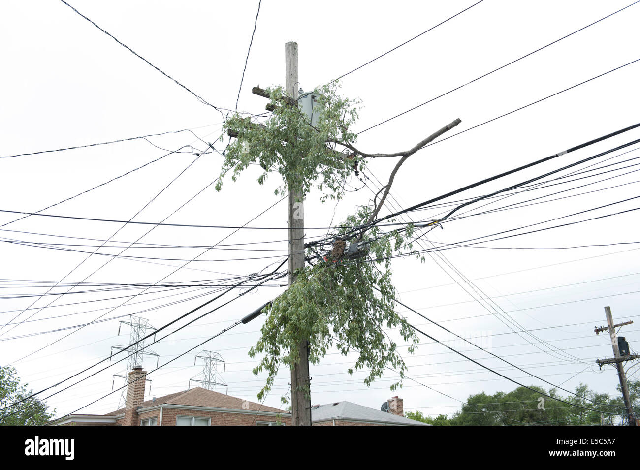 A telephone with tree branches in the middle after a storm Stock Photo ...