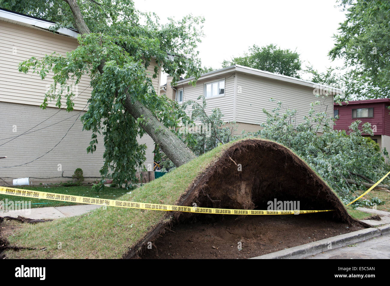 A large tree fell over onto a home after a wind storm Stock Photo - Alamy