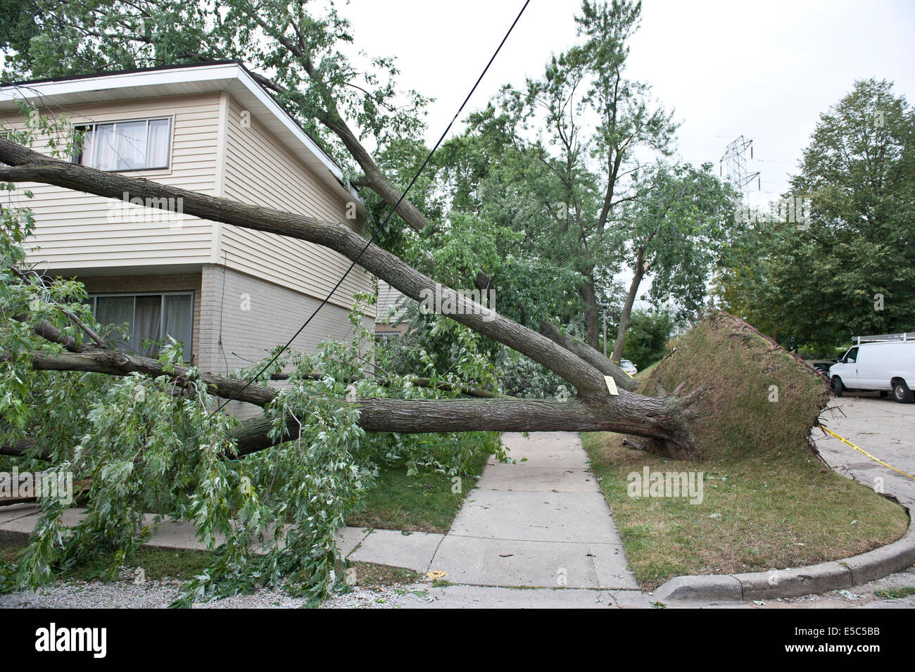 Damage and destroy large trees hi-res stock photography and images - Alamy