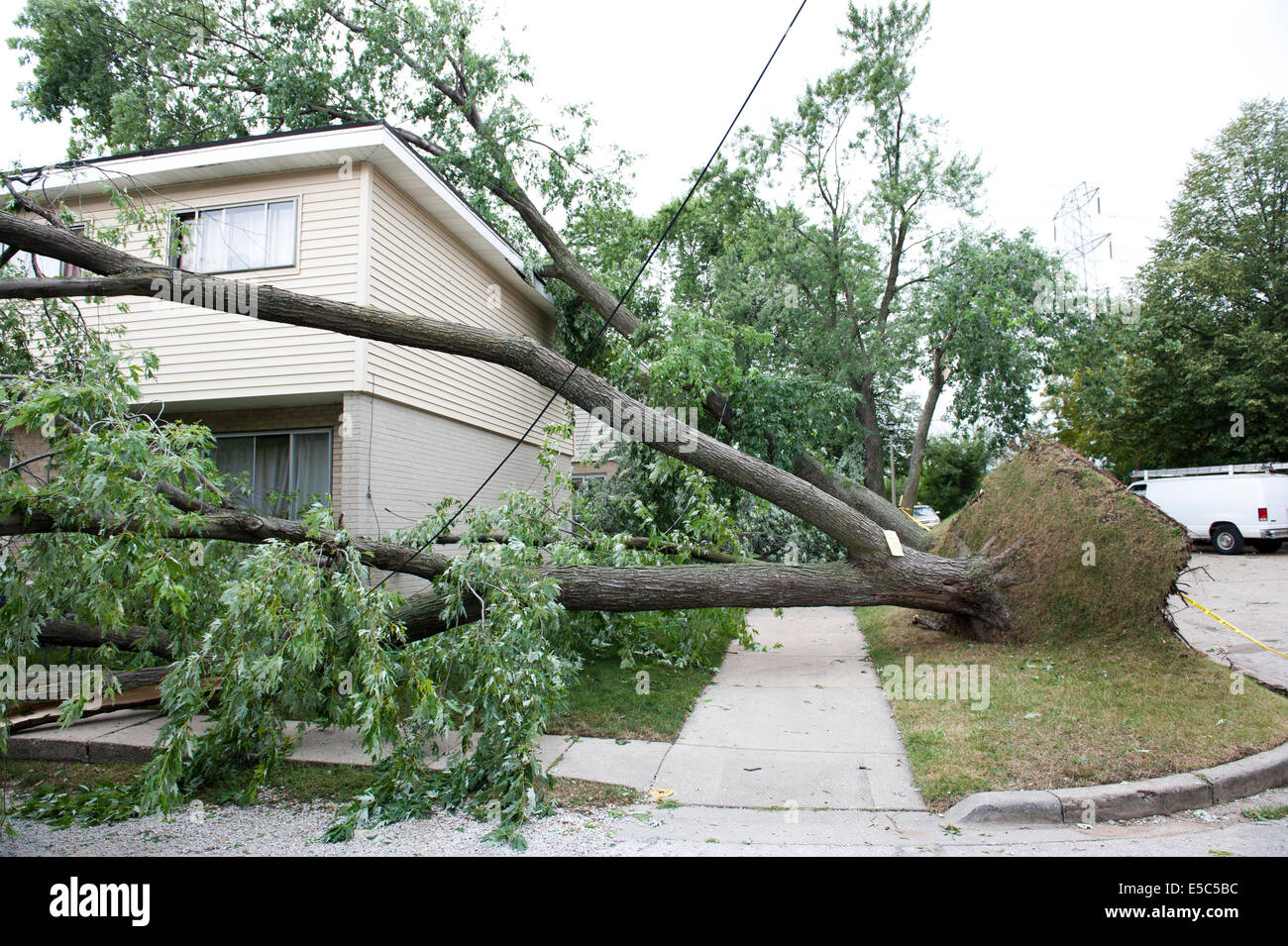 A large tree fell over onto a home after a wind storm Stock Photo - Alamy