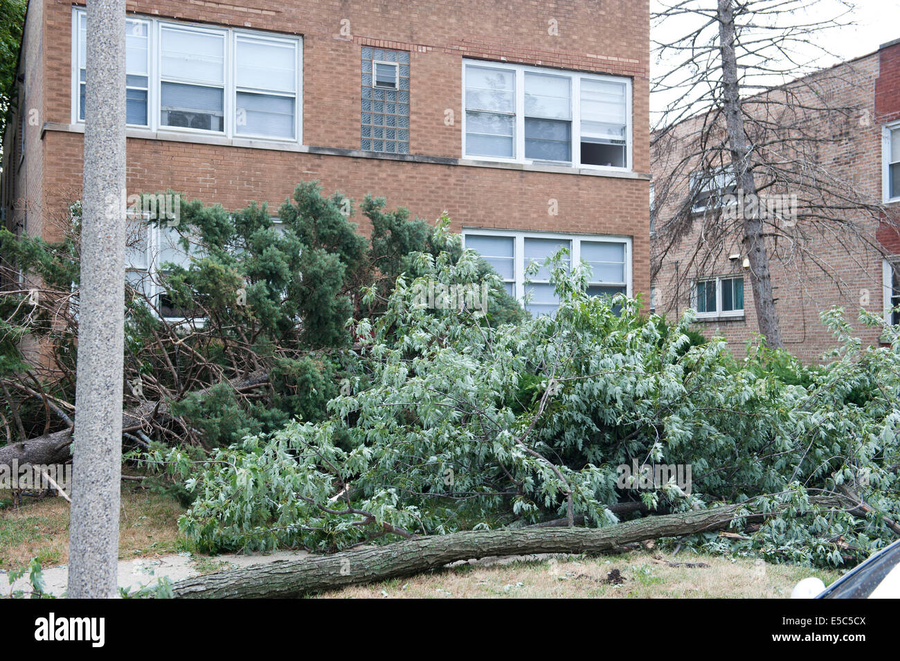Broken trees in front of an apartment building on a cloudy day Stock ...
