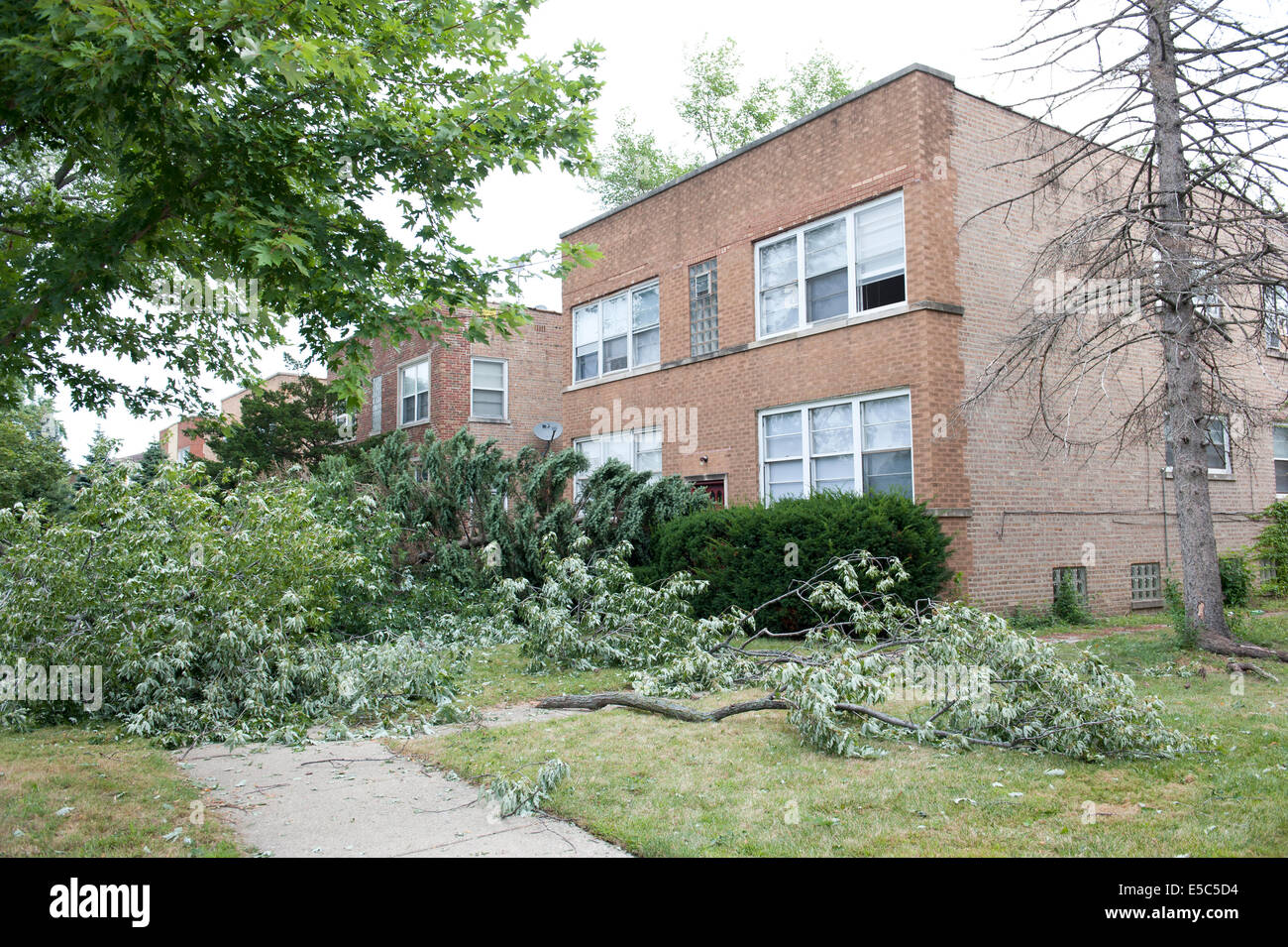 Broken trees in front of an apartment building on a cloudy day Stock ...