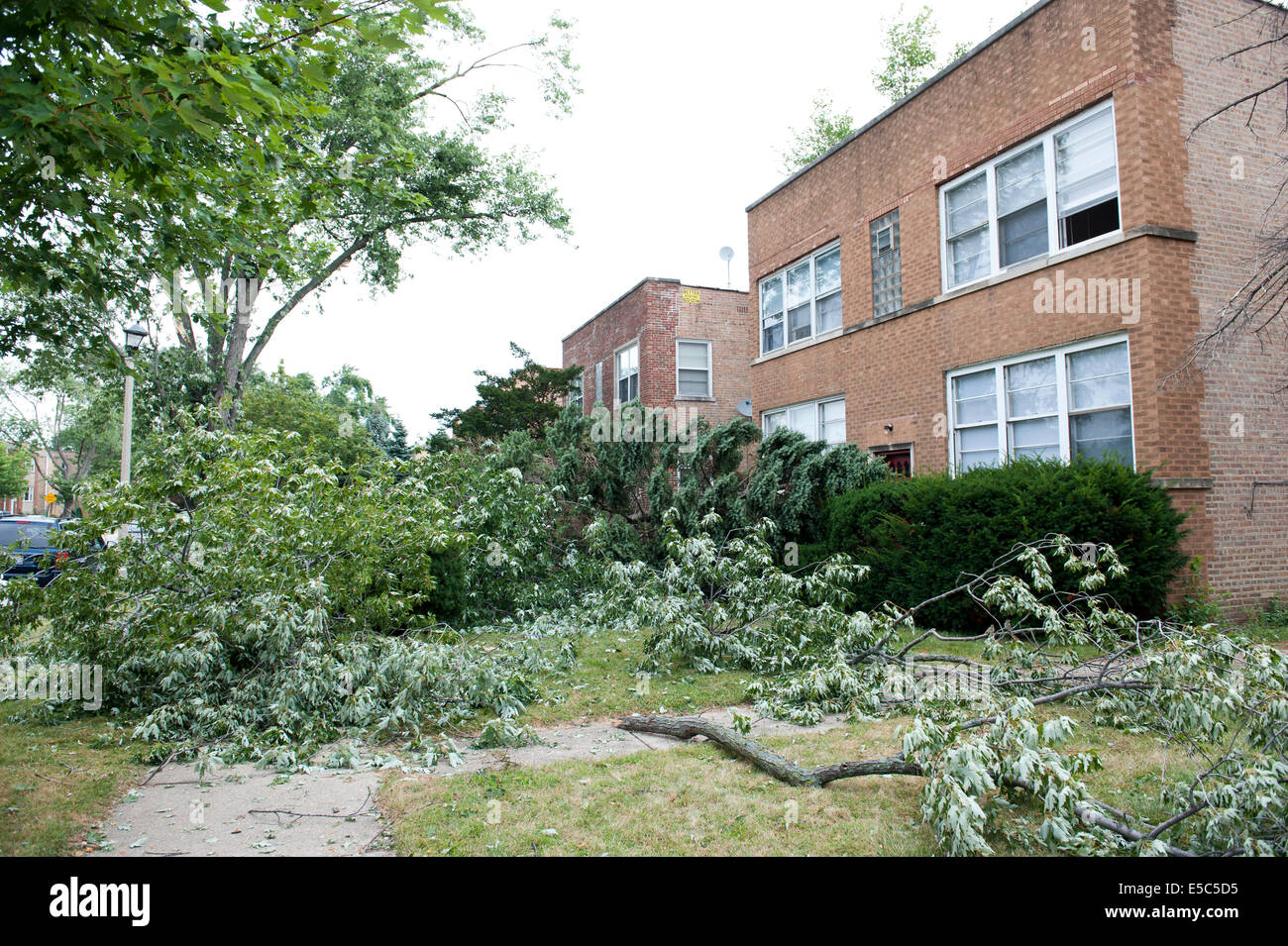 Broken trees in front of an apartment building on a cloudy day Stock ...