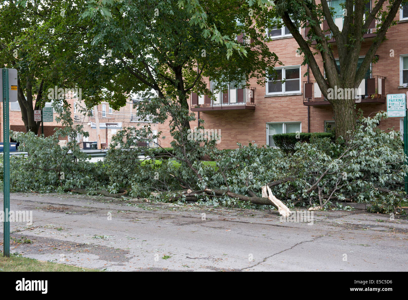 Broken trees in front of an apartment building on a cloudy day Stock ...