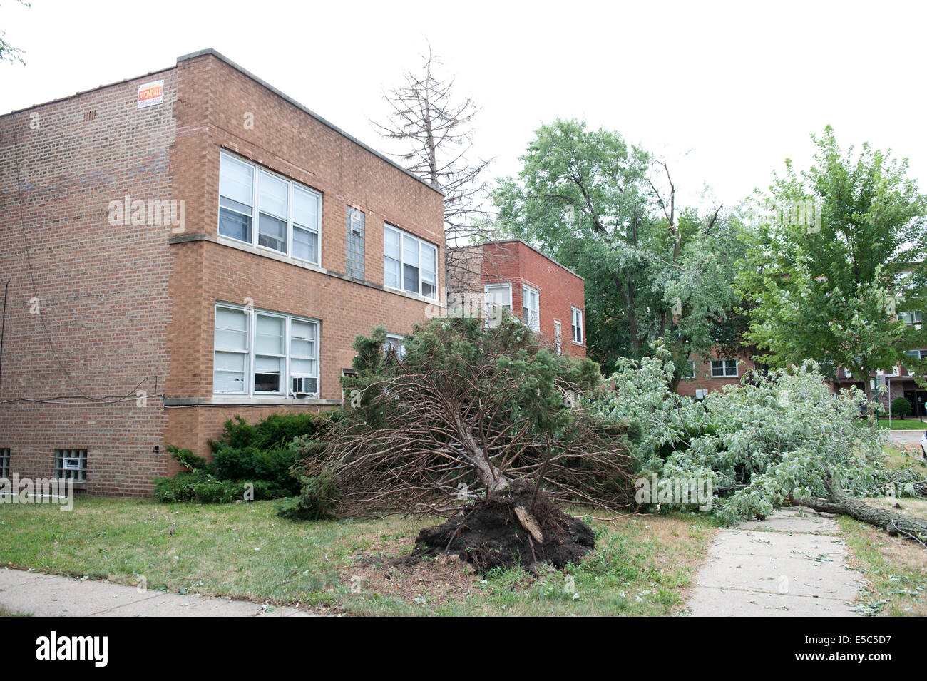 Broken trees in front of an apartment building on a cloudy day Stock ...