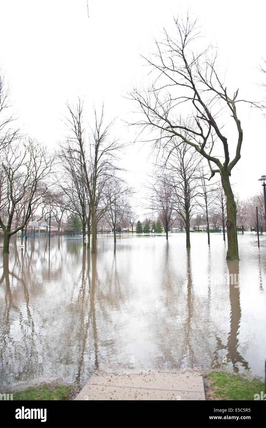 Breach On Water With Trees