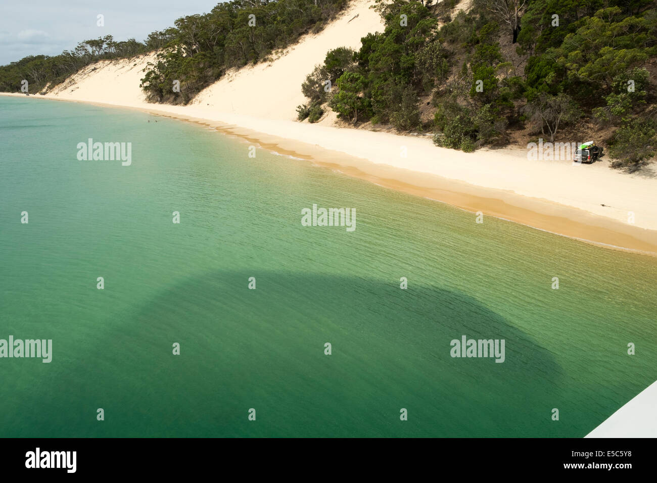 Baitfish at Tangalooma Wrecks, Moreton Island Stock Photo - Alamy