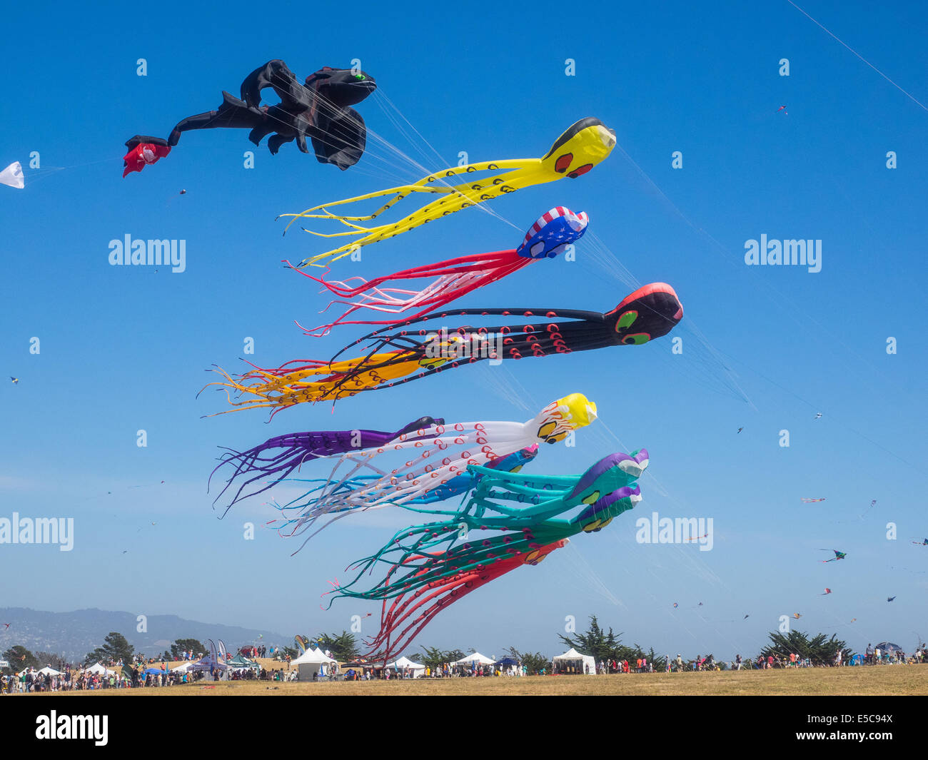BERKELEY, CA/USA - July 26 2014: Hundreds of kites of all sizes are ...