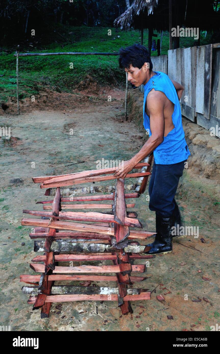 Placing firewood in Industria - PANGUANA . Department of Loreto .PERU ...