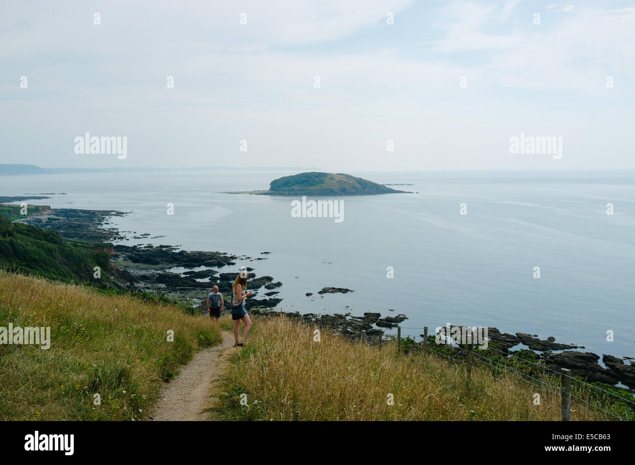 St George's Island near Looe, Cornwall, from the South West Coast path ...