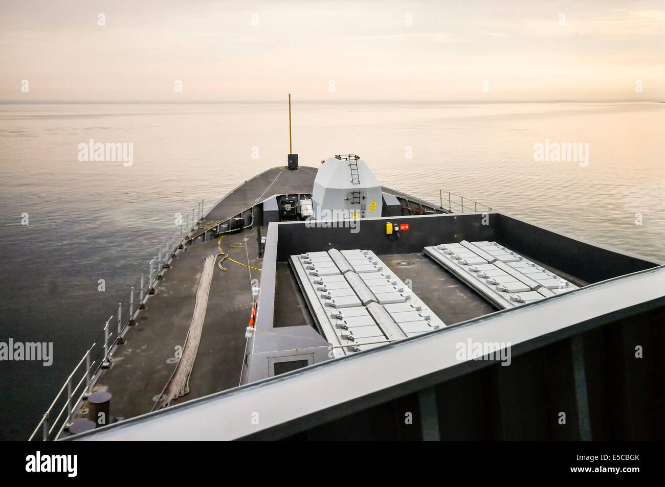 Aster maritime hi-res stock photography and images - Alamy