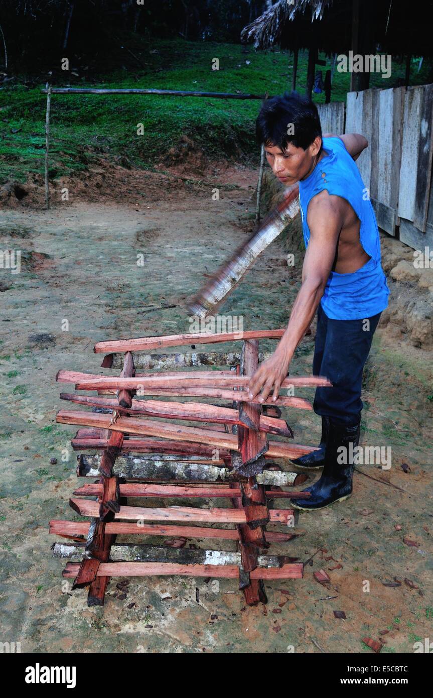 Placing firewood in Industria - PANGUANA . Department of Loreto .PERU ...