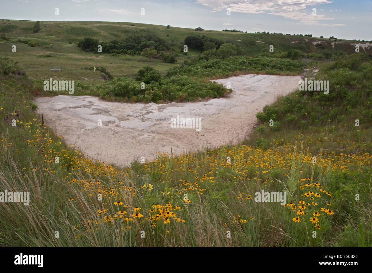 Ashfall Fossil Beds Stock Photo - Alamy