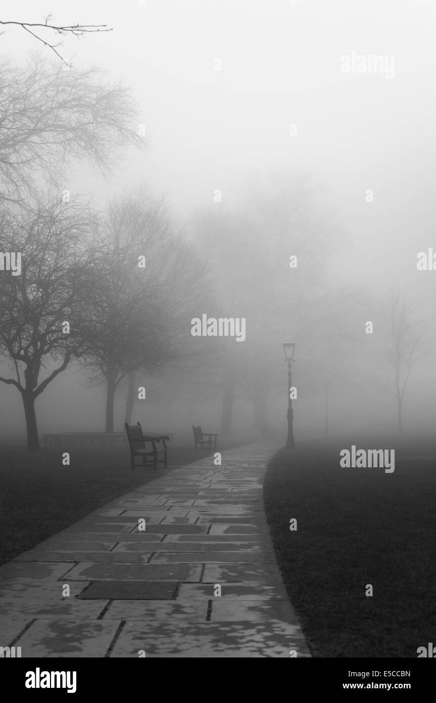 Path into the mist Stock Photo - Alamy