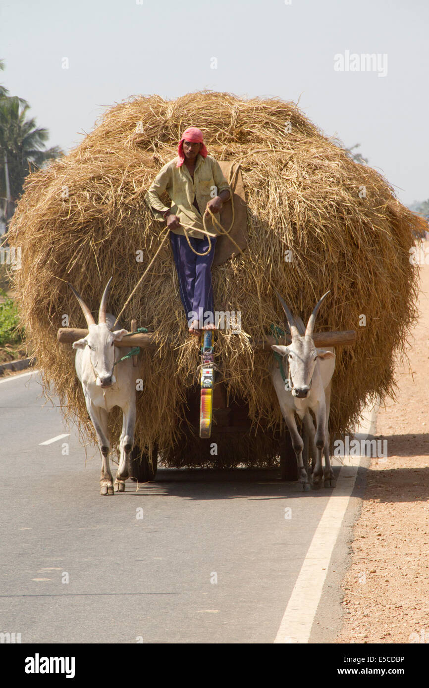 Bullock cart india hi-res stock photography and images - Alamy