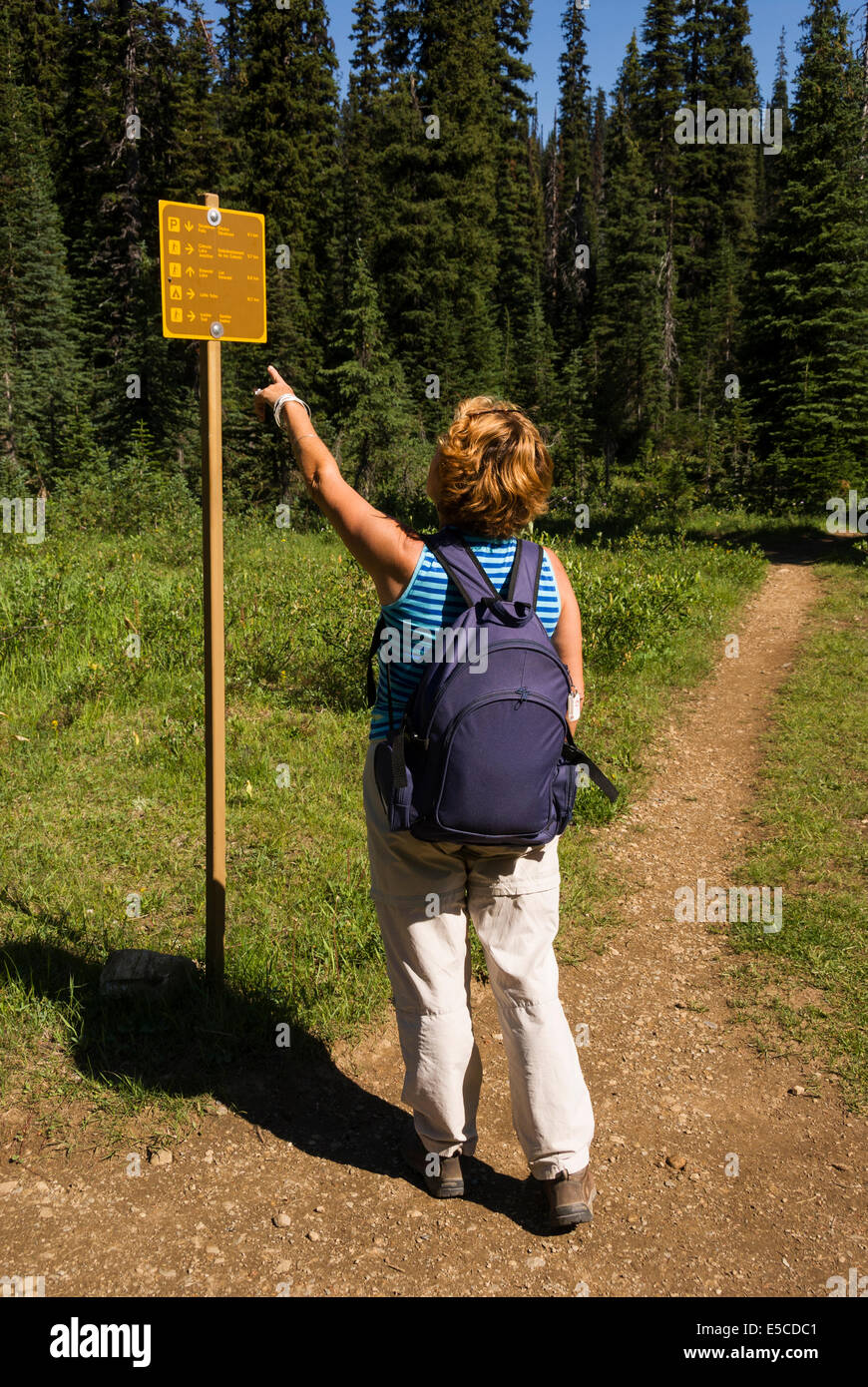 British columbia trail hi-res stock photography and images - Alamy