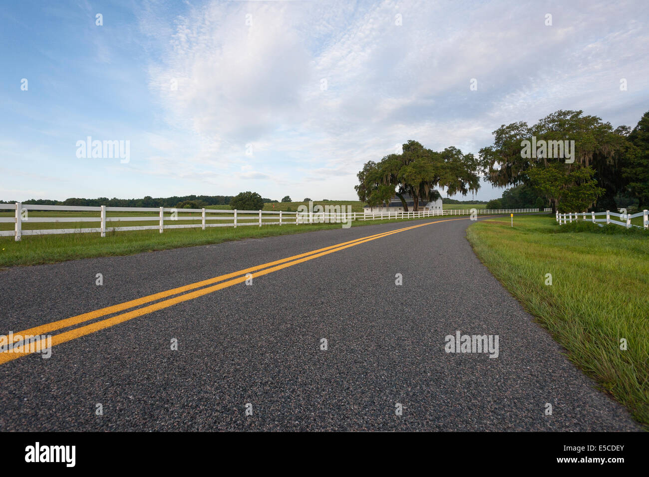 Ocala Florida USA Countryside Farmland Landscape Stock Photo - Alamy