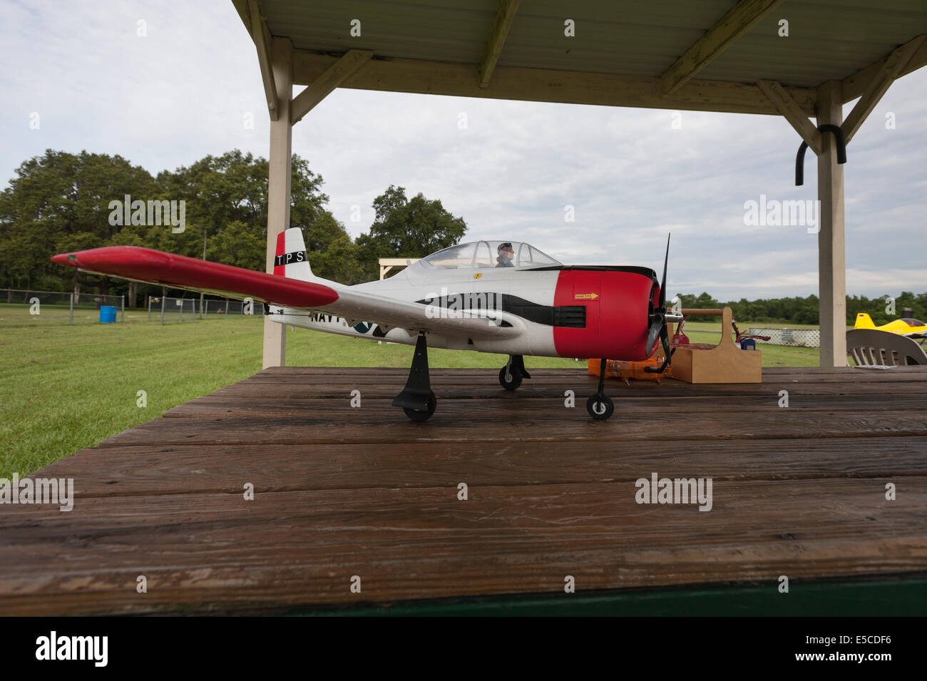 Usa model hi-res stock photography and images - Alamy
