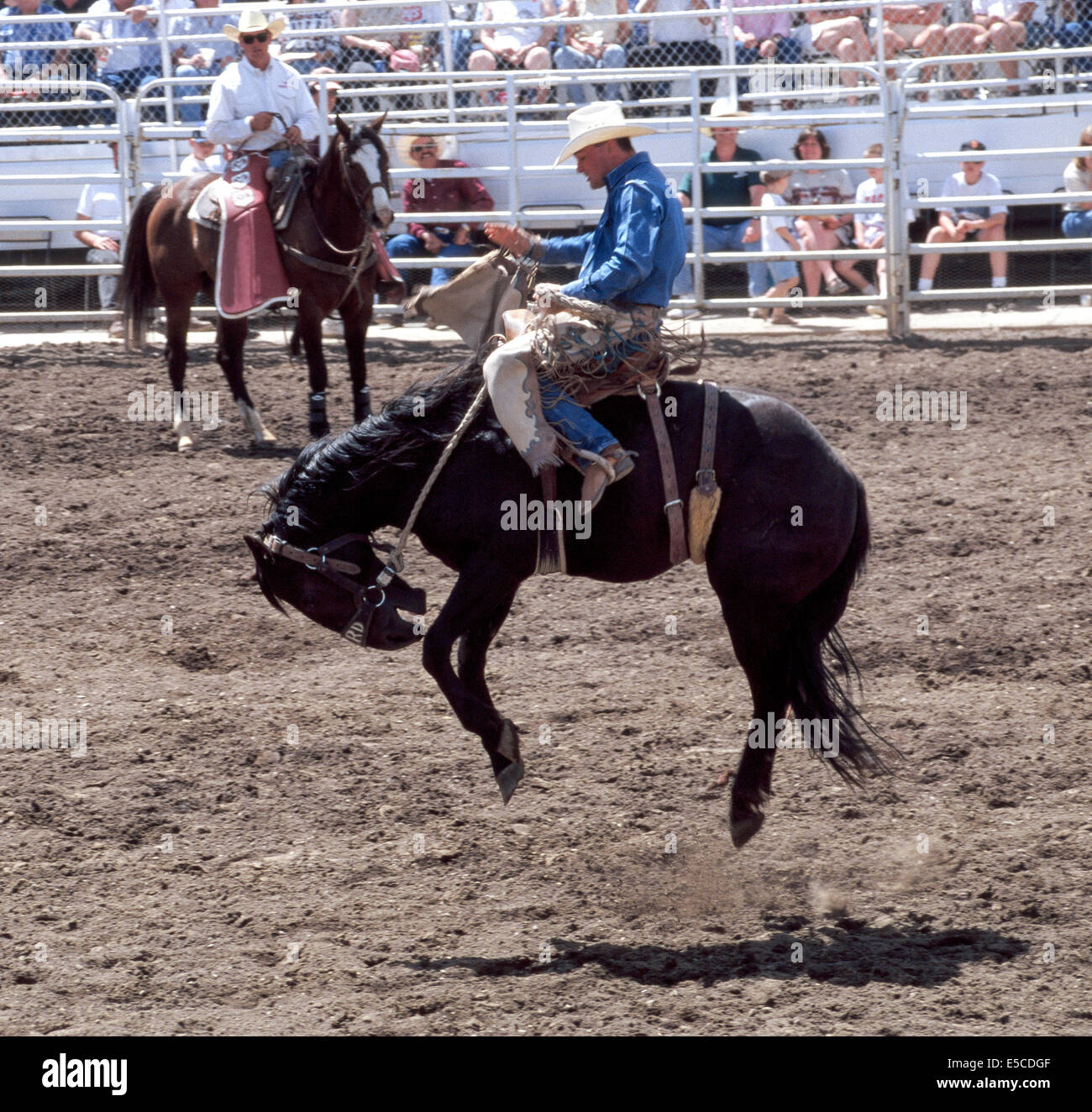 Saddle bronc riding hi-res stock photography and images - Alamy