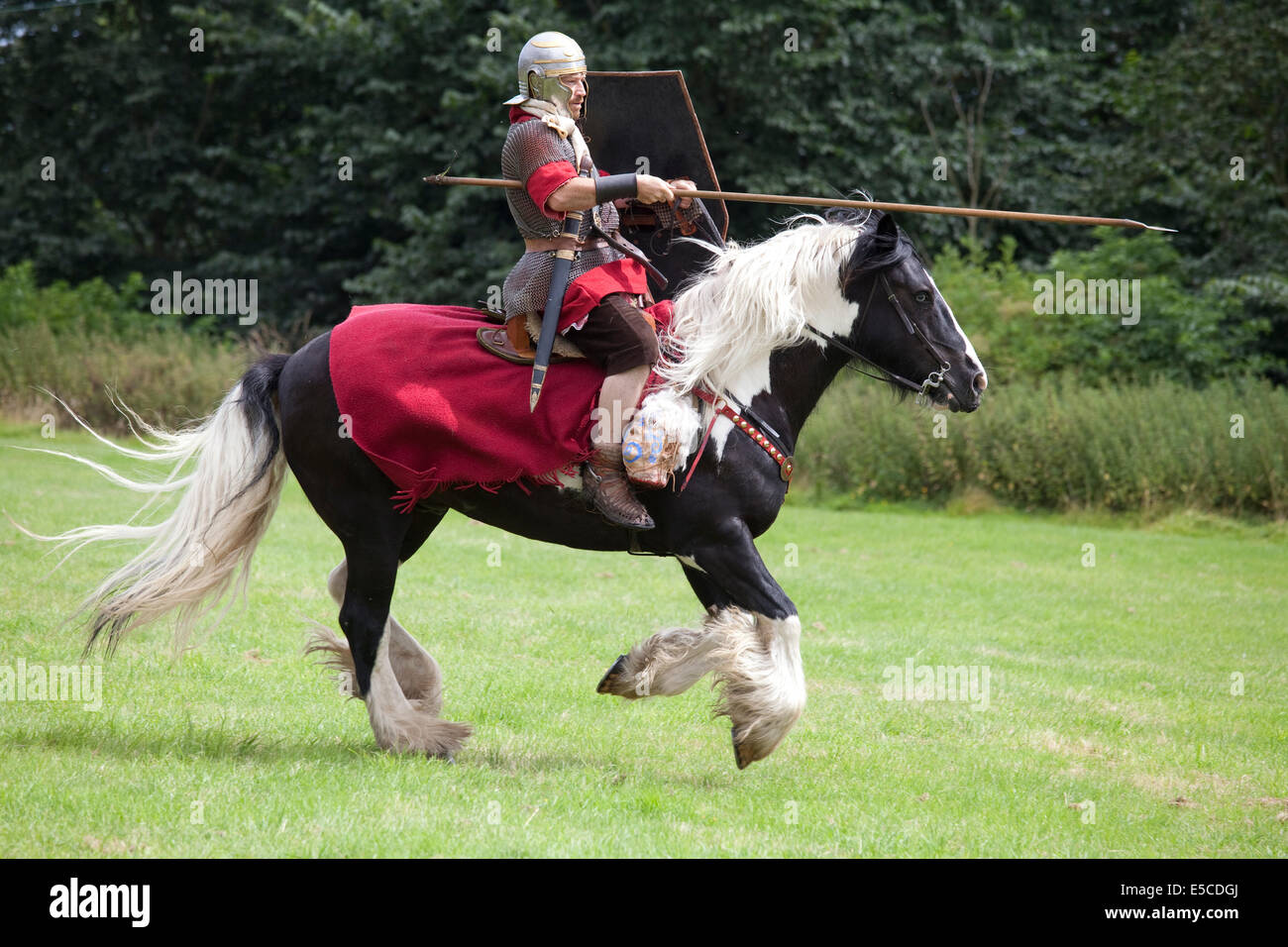 Roman cavalry history hi-res stock photography and images - Alamy