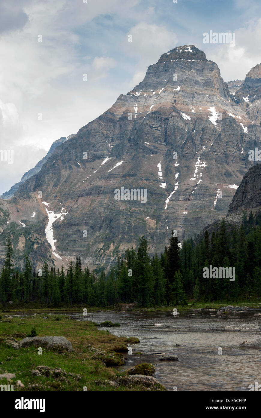 Elk203-2298v Canada, British Columbia, Yoho National Park, Opabin Lake ...