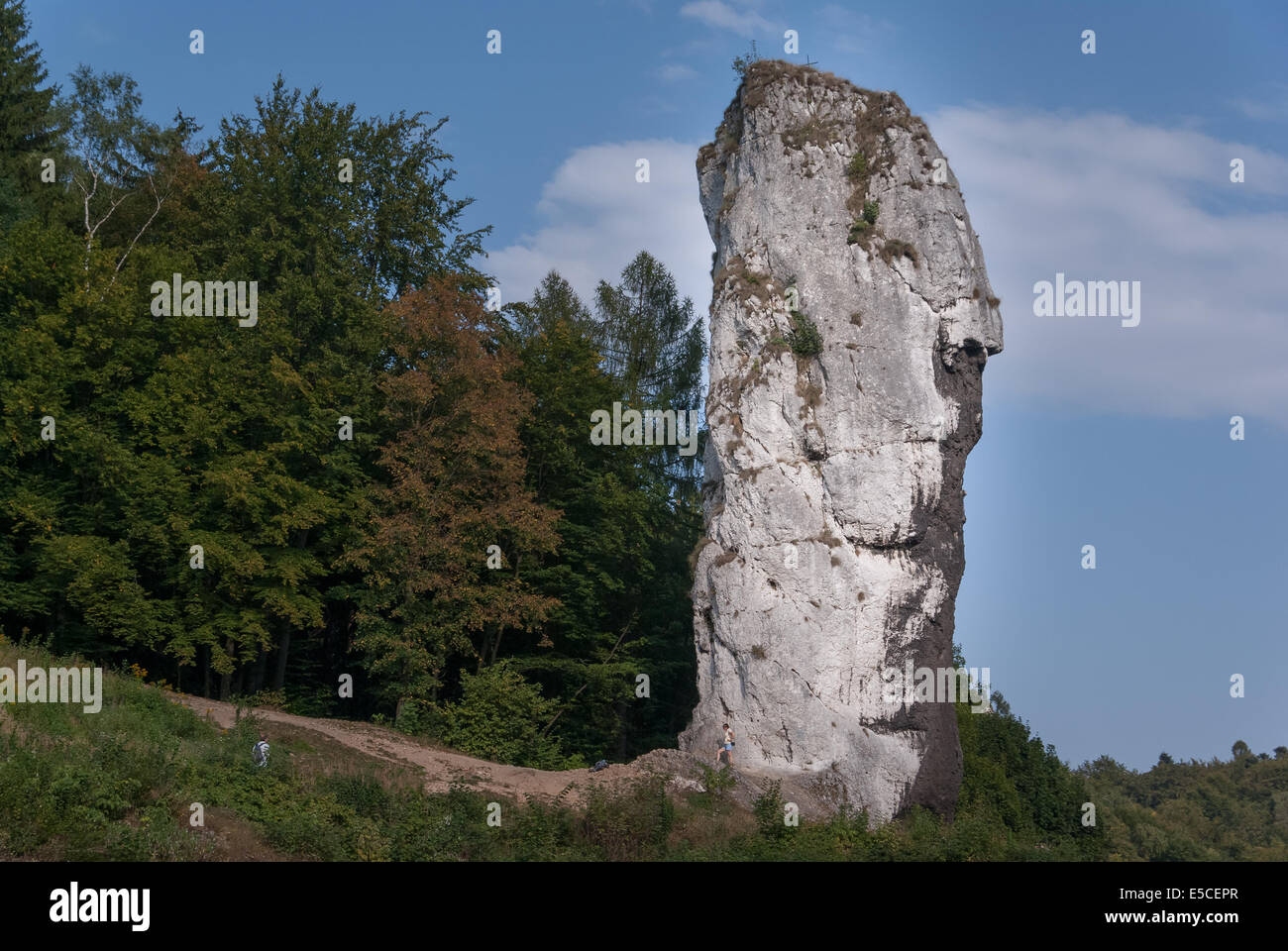 Maczuga Herkulesa (Hercules Club Rock) seen from west, near Ojcow ...