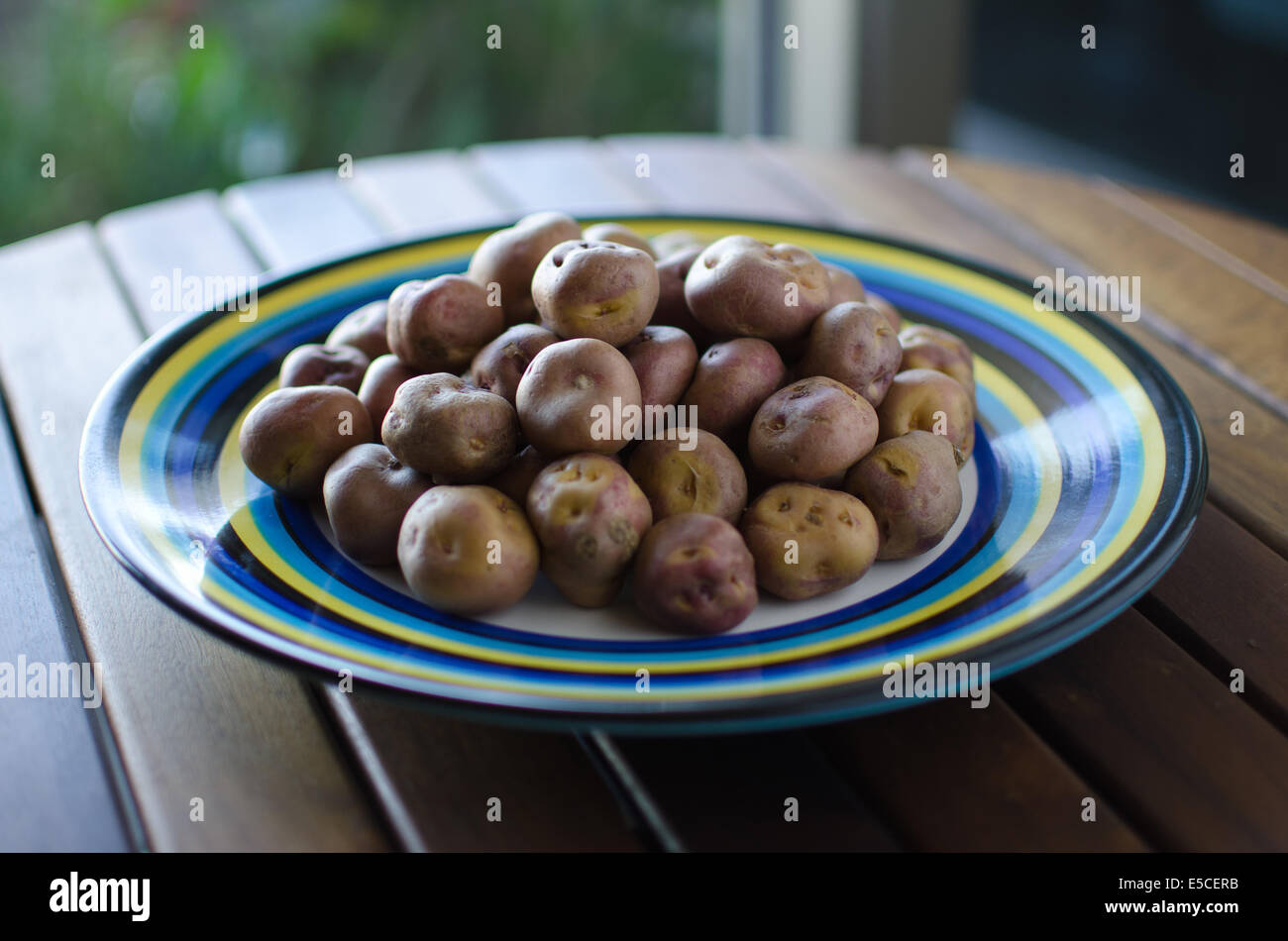 Andean potatoes on an elegant dish over a wooden table Stock Photo - Alamy