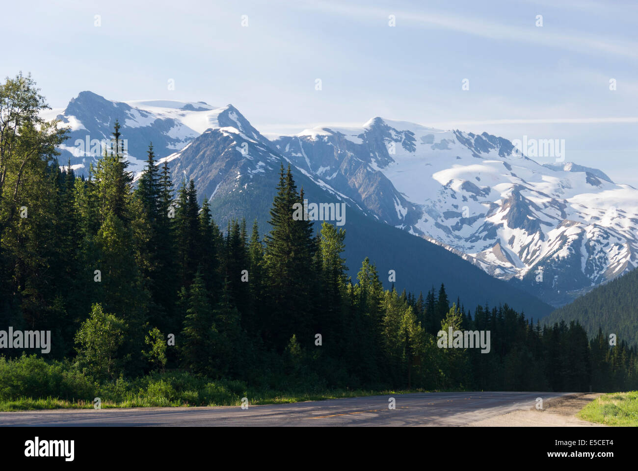 Elk203-2342 Canada, British Columbia, Glacier National Park, Rogers ...