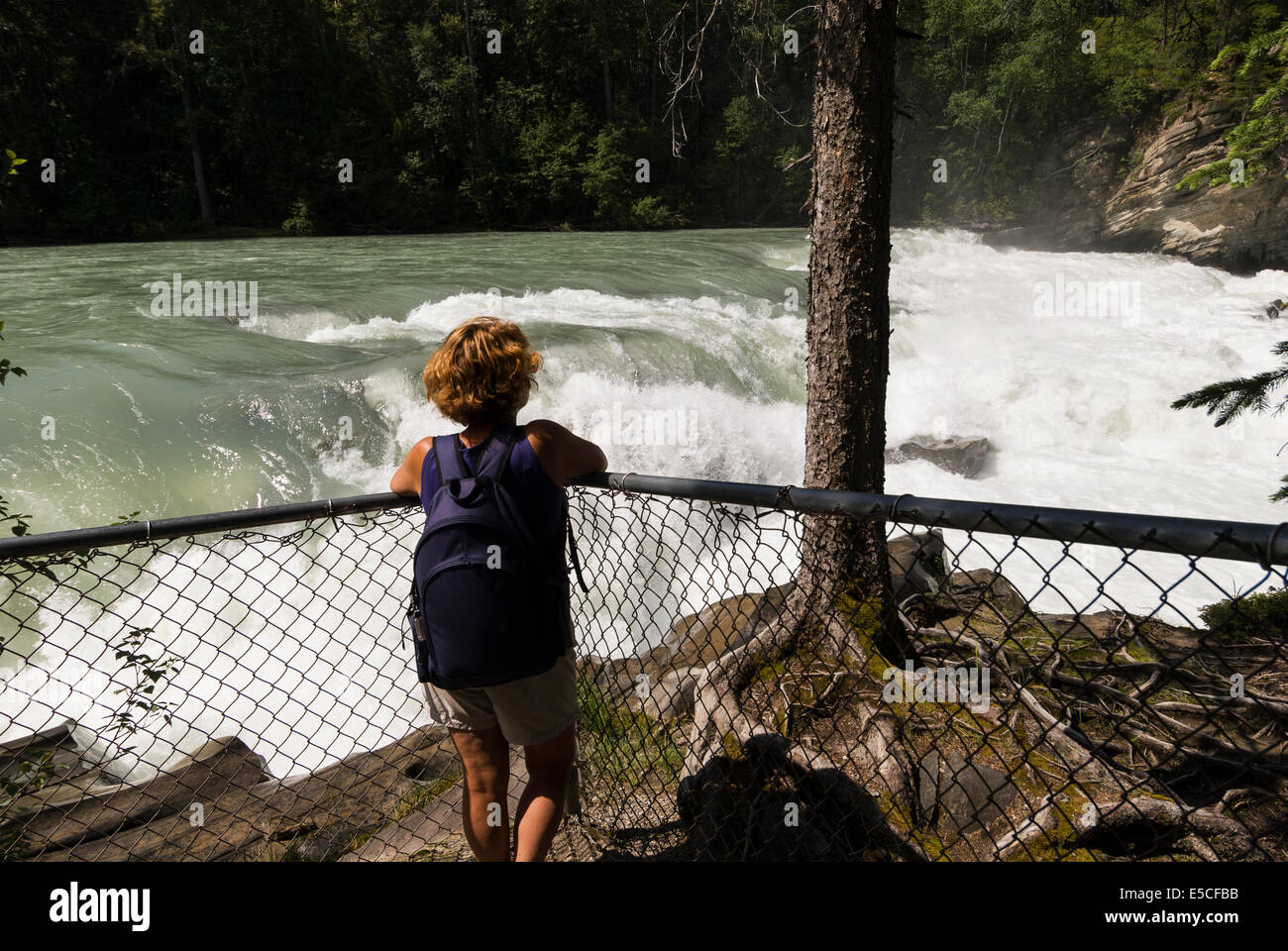 Elk203-2507 Canada, British Columbia, Mount Robson Provincial Park ...