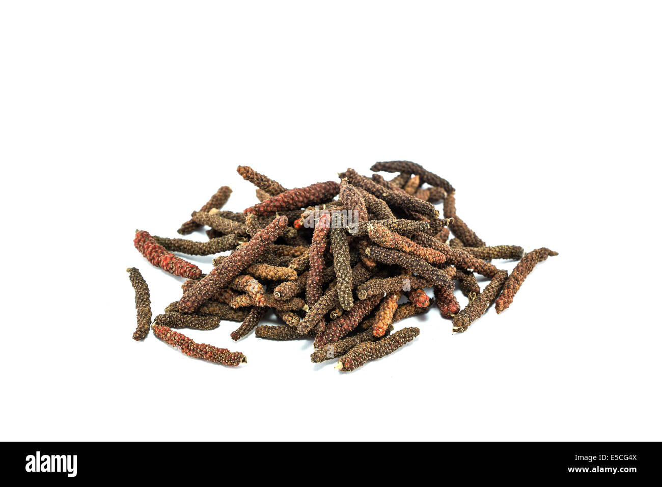 Long pepper or Piper longum isolated on white background Stock Photo ...