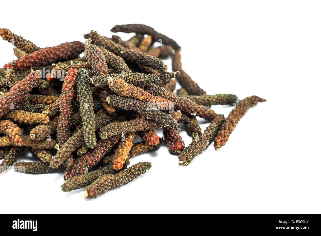 Long pepper or Piper longum isolated on white background Stock Photo ...