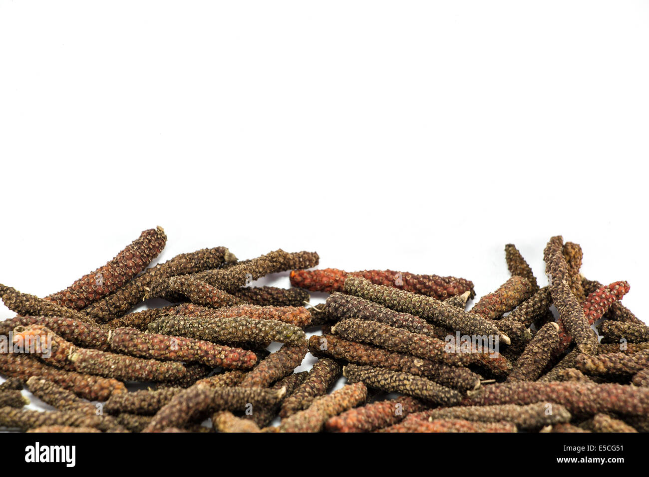 Long pepper or Piper longum isolated on white background Stock Photo ...