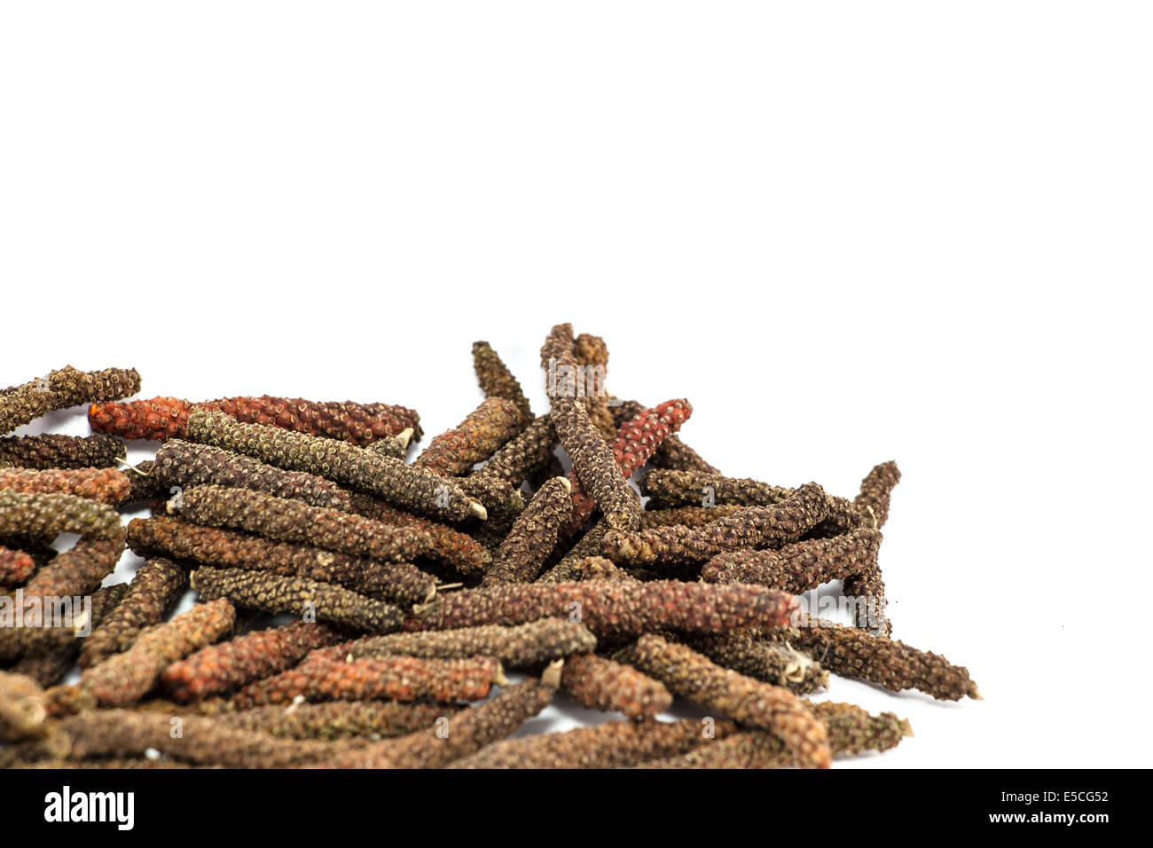 Long pepper or Piper longum isolated on white background Stock Photo ...