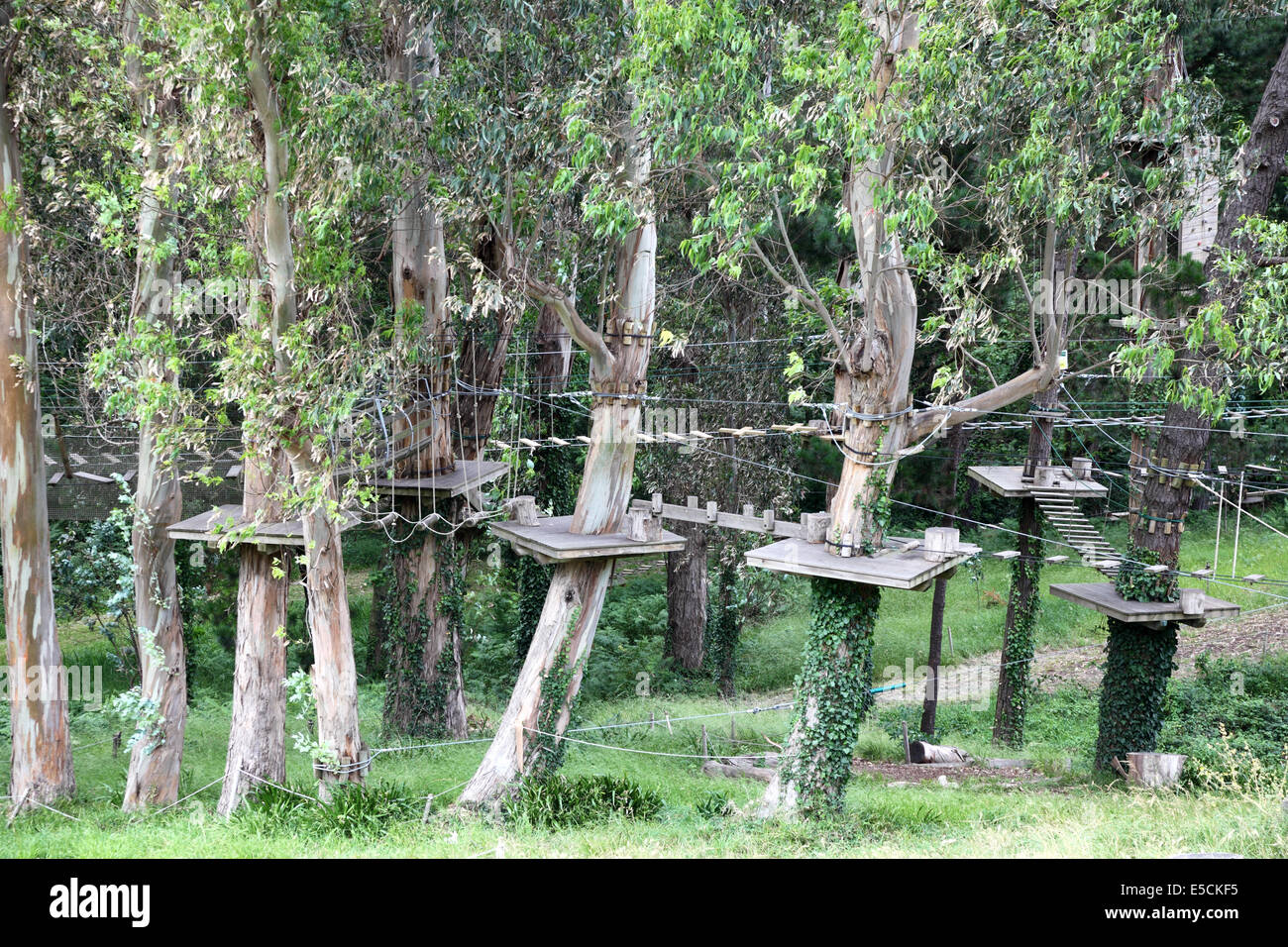 Park playground trees hi-res stock photography and images - Alamy