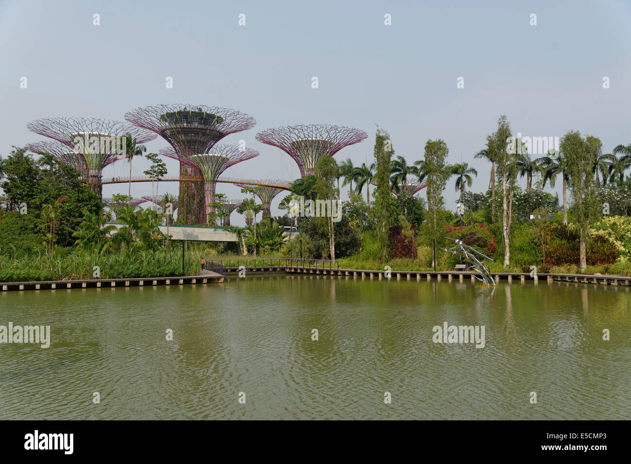 Supertrees, Gardens by the Bay, Marina Bay, Singapore Stock Photo - Alamy