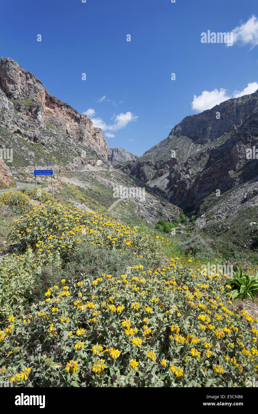 Kourtaliotiko gorge, Megalopotamos river, Rethymno, Crete, Greece Stock ...