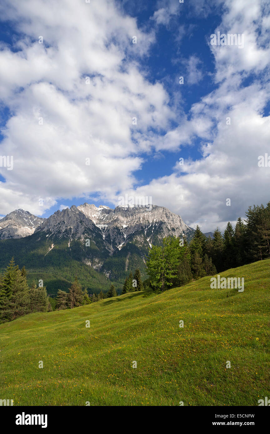 Karwendel mountain range, flowering spring meadow at the front ...